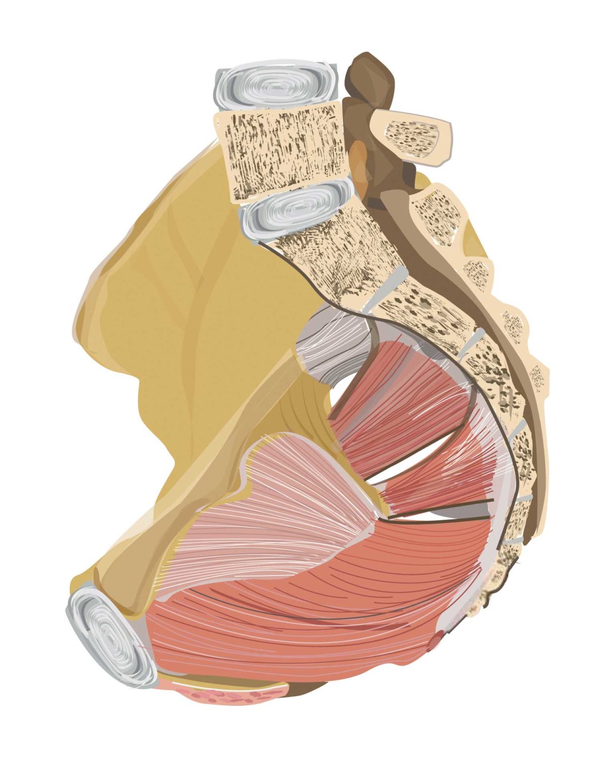 Funktionales Beckenboden-Training & Come-Together - Akademie Wiechers